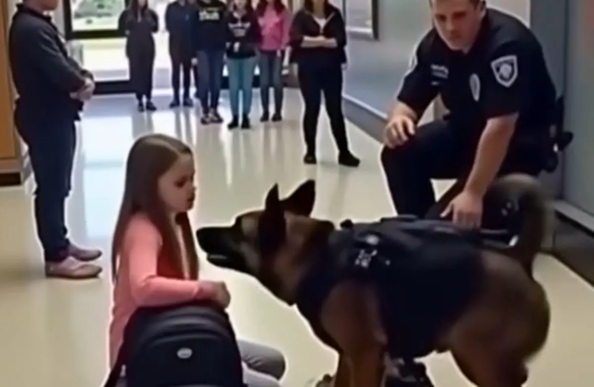 Perro K9 se niega a obedecer — Lo que descubre sobre el estudiante deja ...